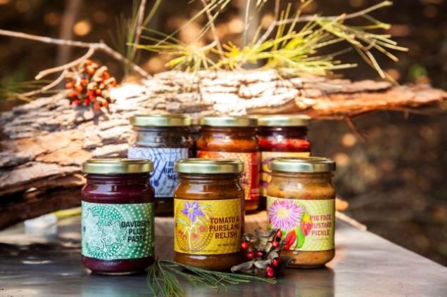 Search - Figjam & Co