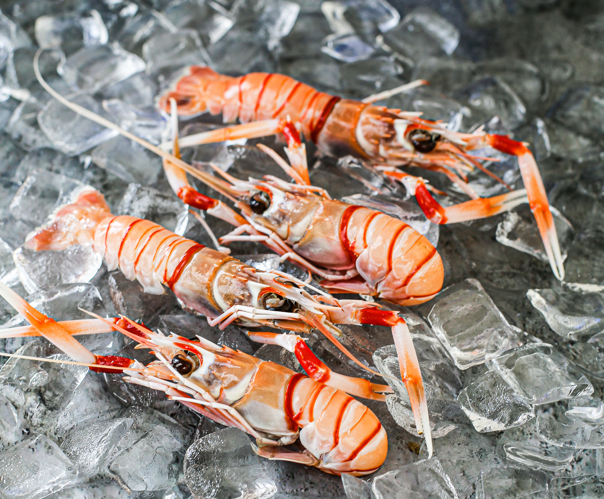 Scampi (Select Quantity)