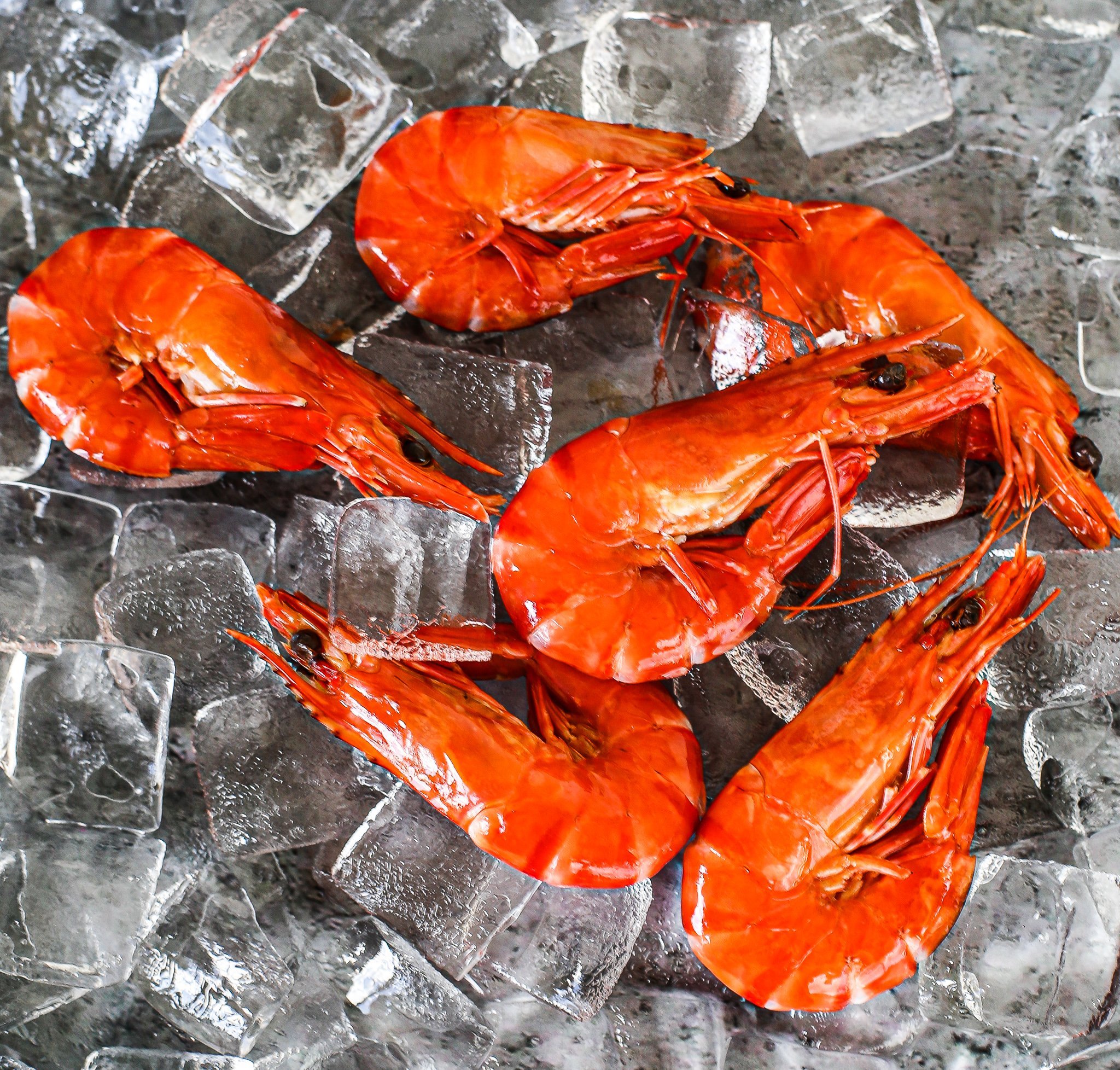 Prawns: Cooked Tiger 500g
