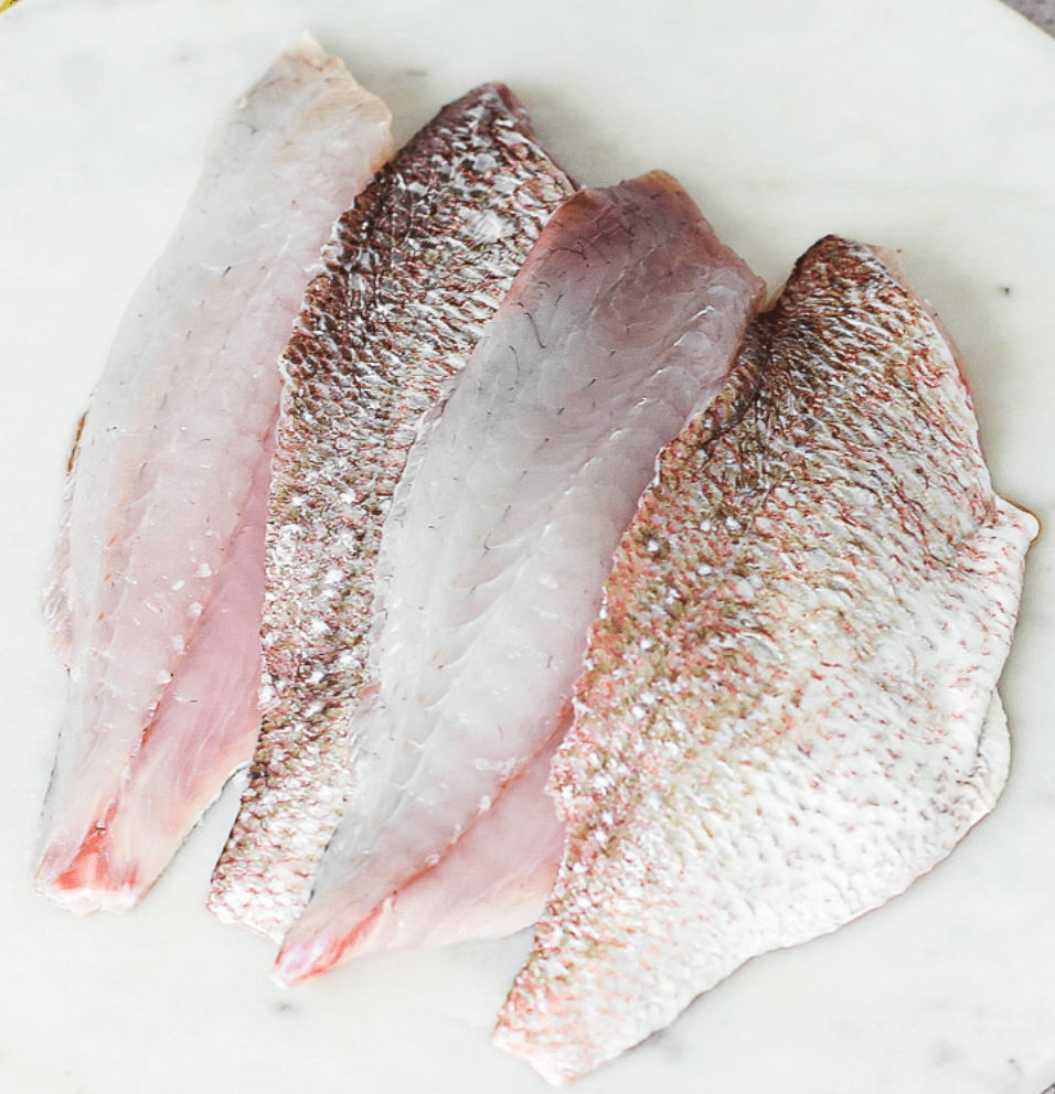 NZ Snapper Fillets