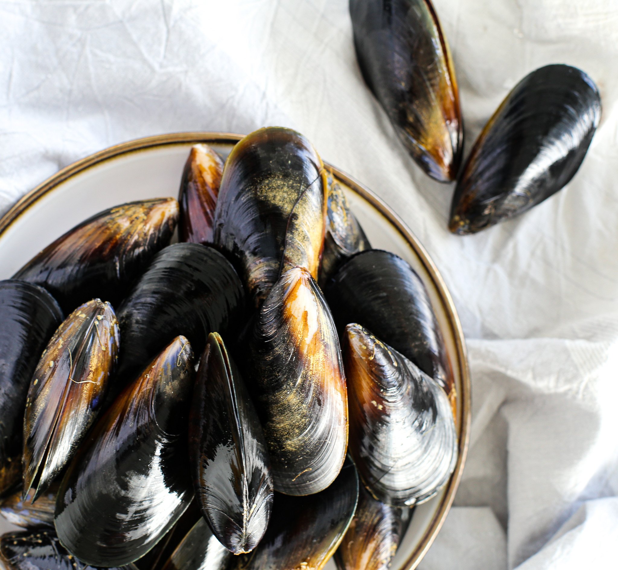 Pre-packed Blue Mussels (1kg Pack)