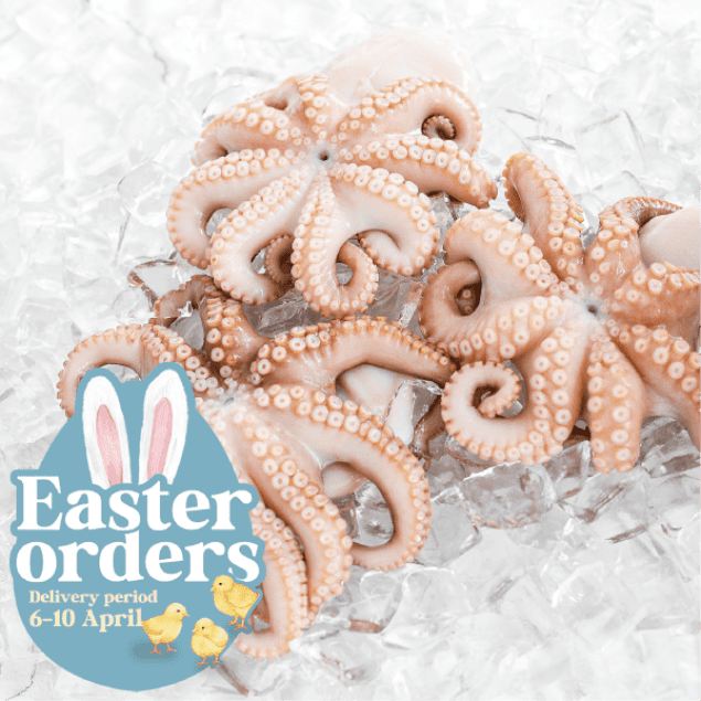 Octopus & Squids (EASTER)