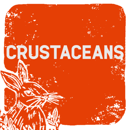 Crustaceans (EASTER)